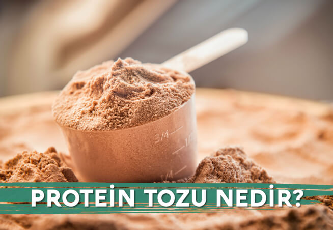 Protein Tozu Nedir ve Nasıl Üretilir? | Provitanya.com
